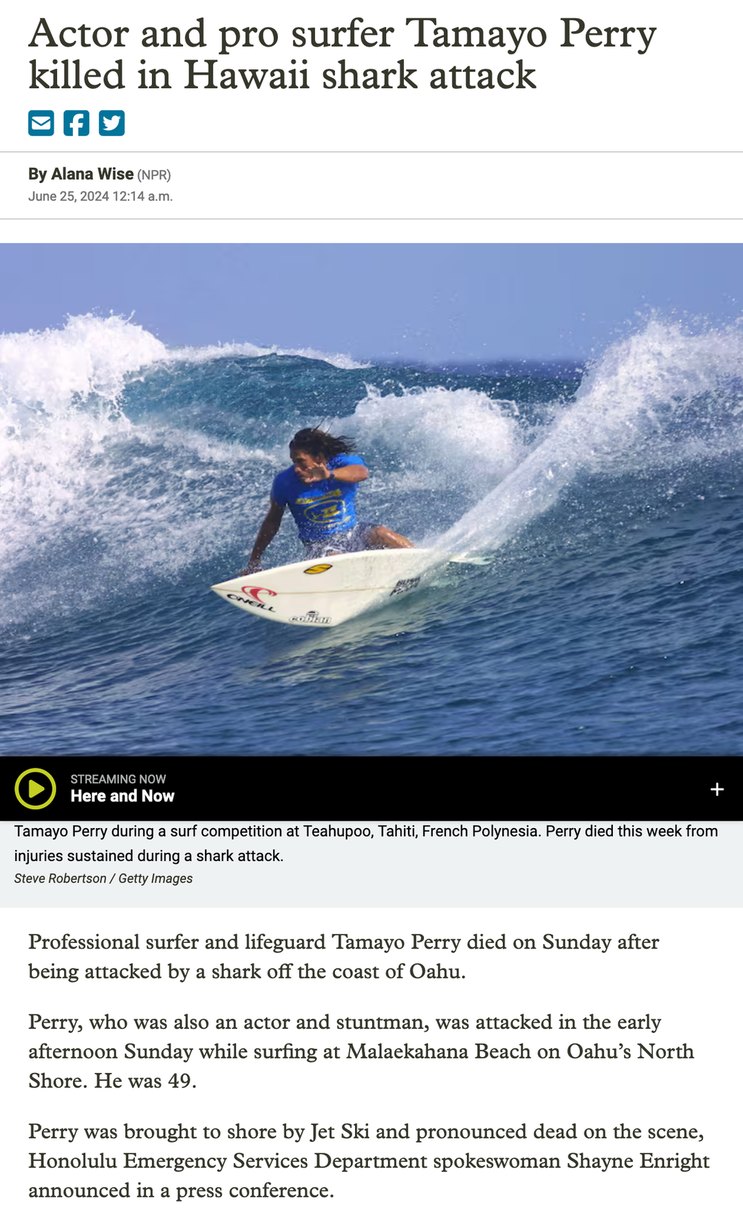 Shark Attack Surfer Memes Surf Board Shark Bite Stock Illustrations