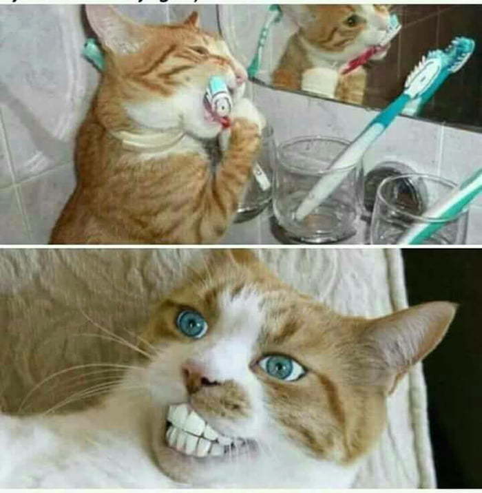 Masoq? - Meme by JoSjoca :) Memedroid