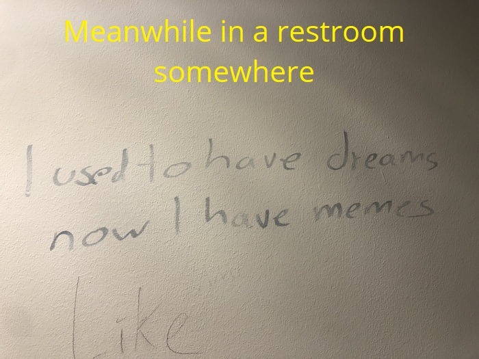 It had just one like - Meme by schizoidman :) Memedroid