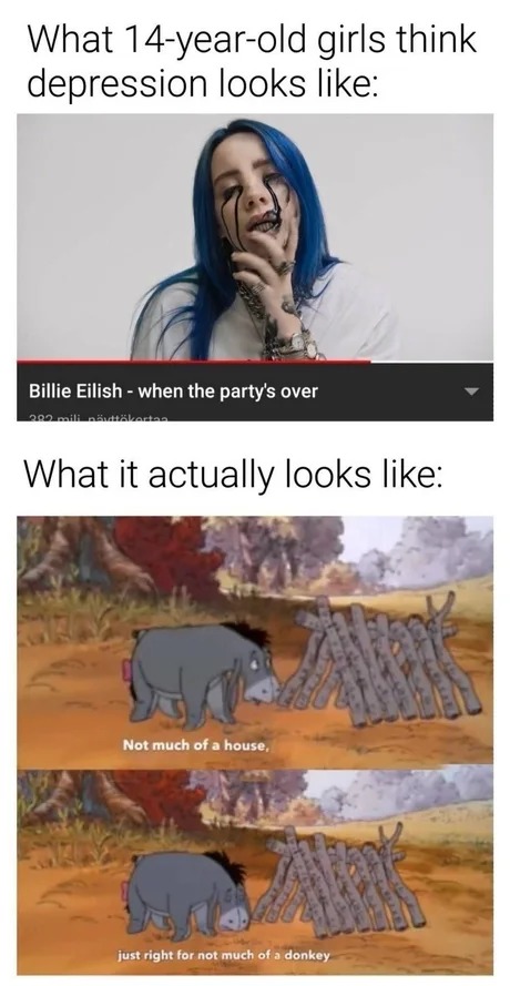 The best Eeyore memes :) Memedroid