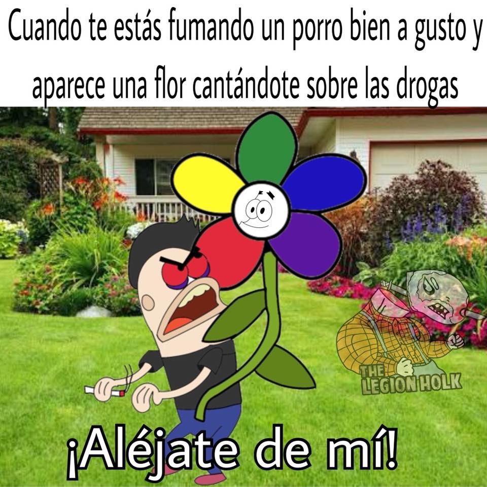 Memes Con Drogas