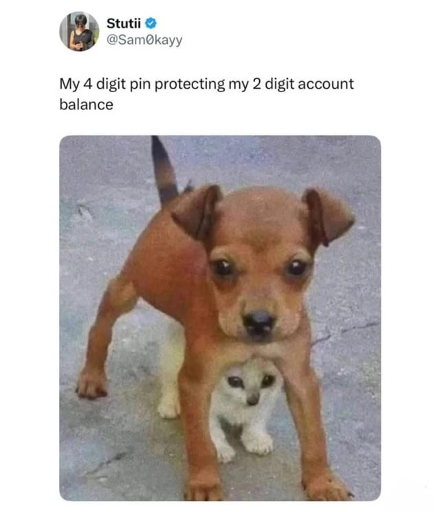 Dog - Search results :) Memedroid