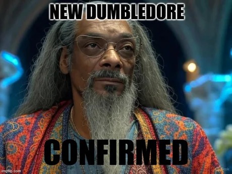 Order Harry Potter Memes Dumbledore