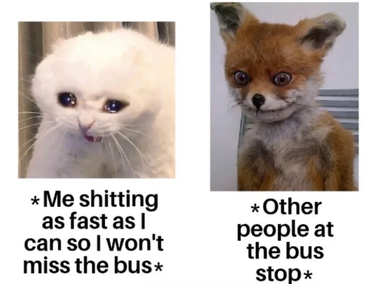 It is like that sometimes - Meme by Kingstyllez :) Memedroid