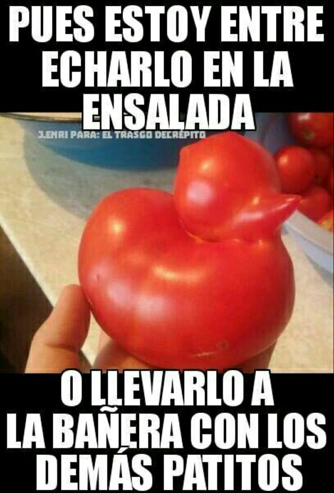 Pato tomate - Meme subido por CreadorDeOriginales :) Memedroid
