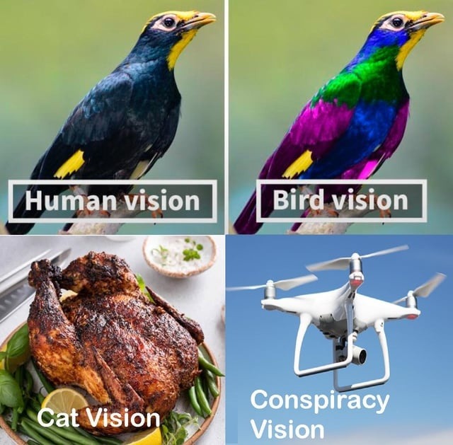 The best Perspective memes :) Memedroid