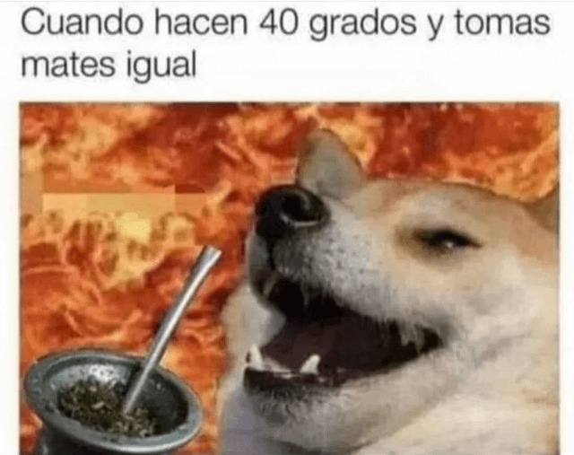 Top memes de Amte en español :) Memedroid