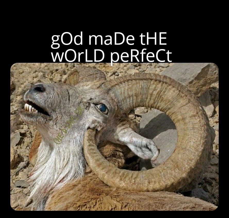 The Latest Memes :) Memedroid