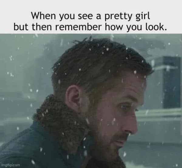 The Latest Memes :) Memedroid