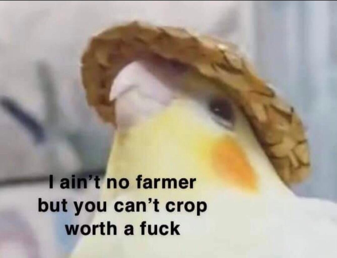 Crop better. - Meme by IrishDemon :) Memedroid