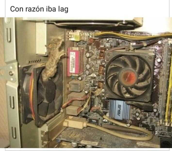 rata culera siempre queriendo hacer nido - Meme subido por kukasg123 ...