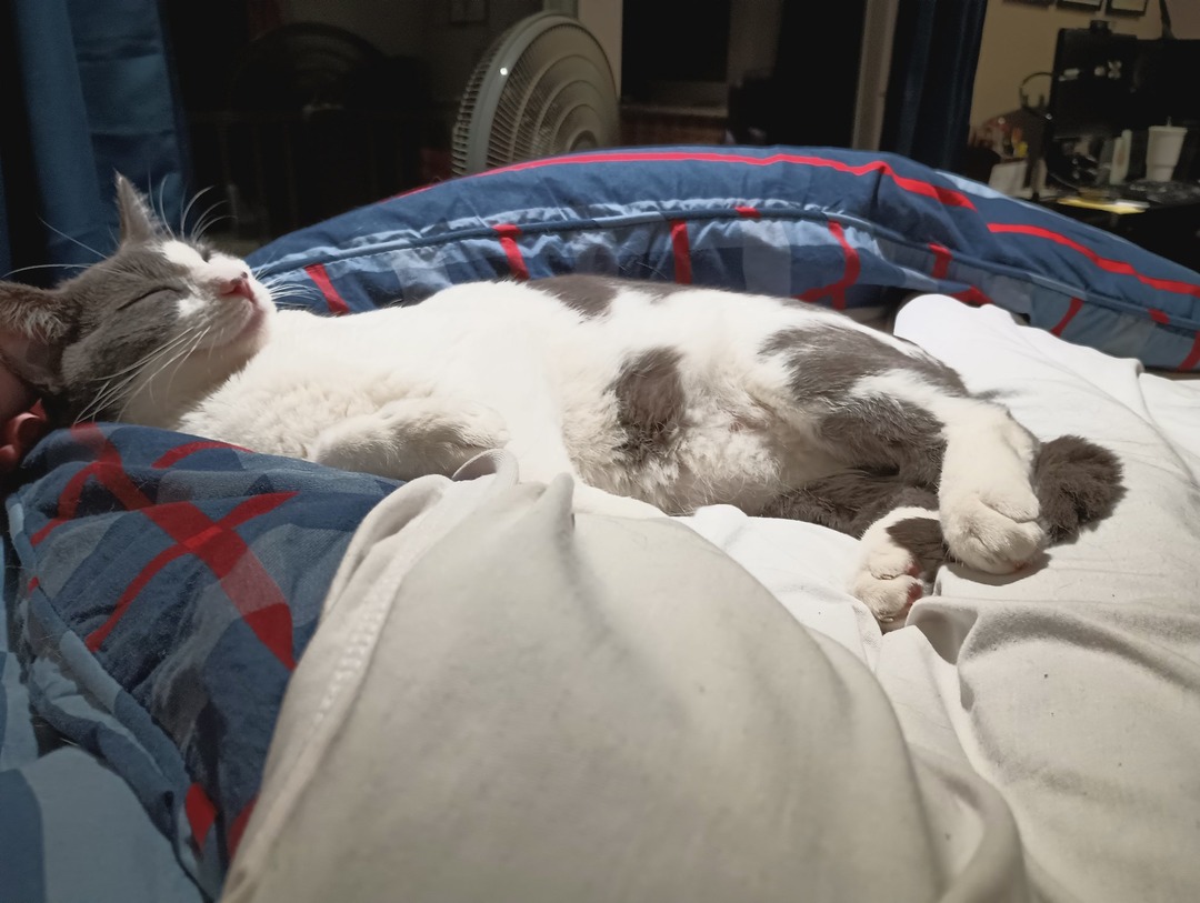 Happy Napping Boi - Meme by Epicuris :) Memedroid