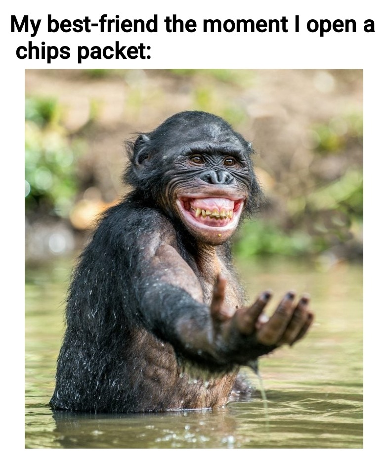 The best Chips memes :) Memedroid
