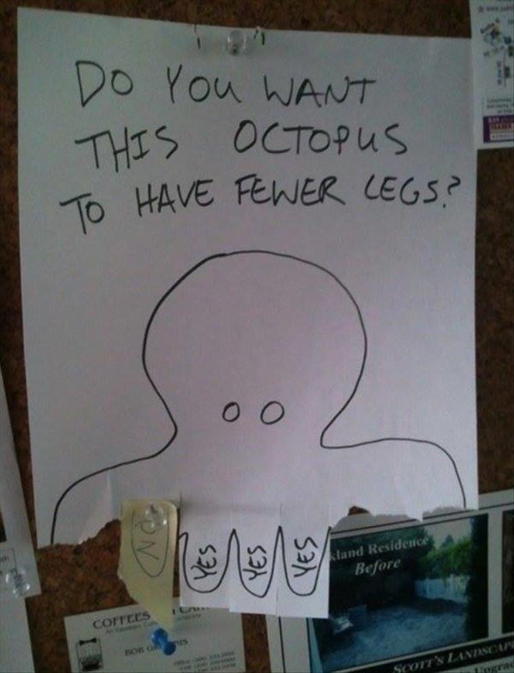 Can't remember if appendages on an octopus are arms, legs, or testicles ...