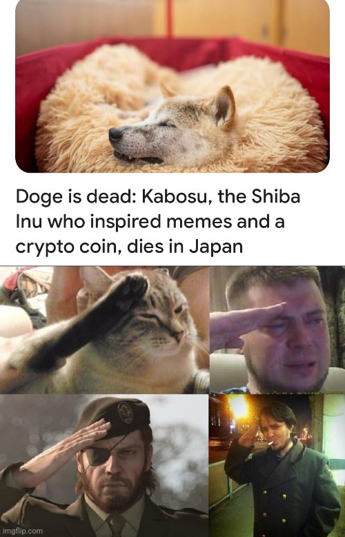 Latest memes / New memes :) Memedroid