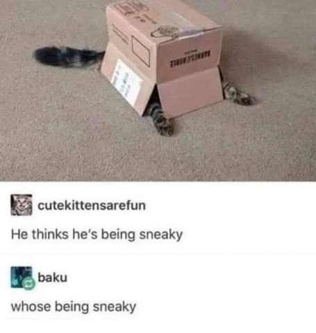 The best Sneaky memes :) Memedroid