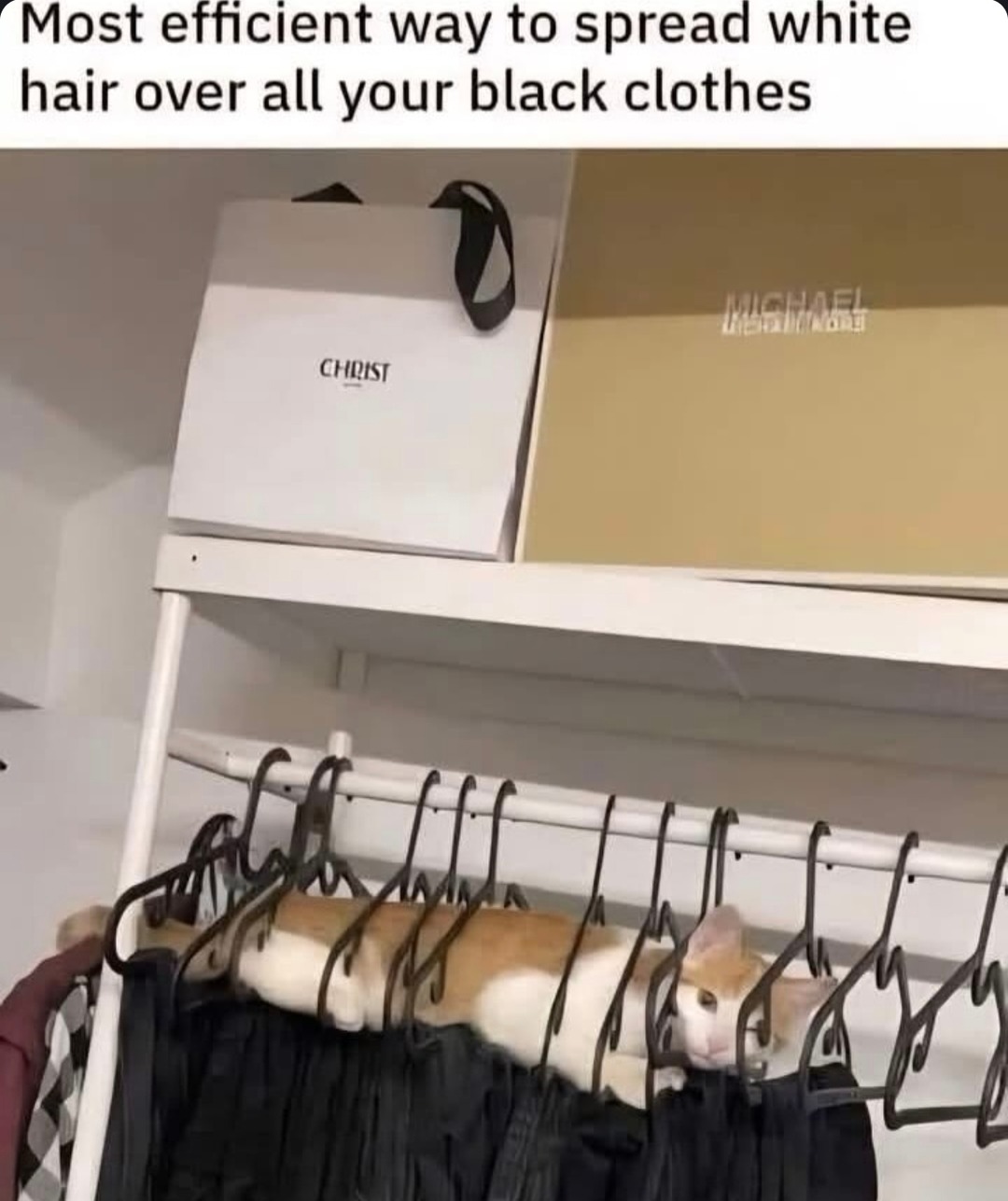 The best Efficiency memes :) Memedroid