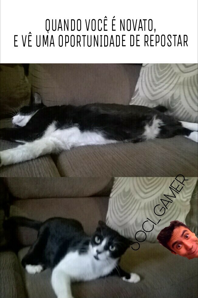 NÃO SE APLICA A TODOS OS NOVATOS - Meme by SociedadeGamer :) Memedroid