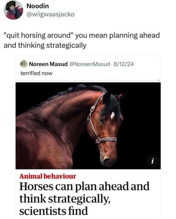 The best Planning memes :) Memedroid