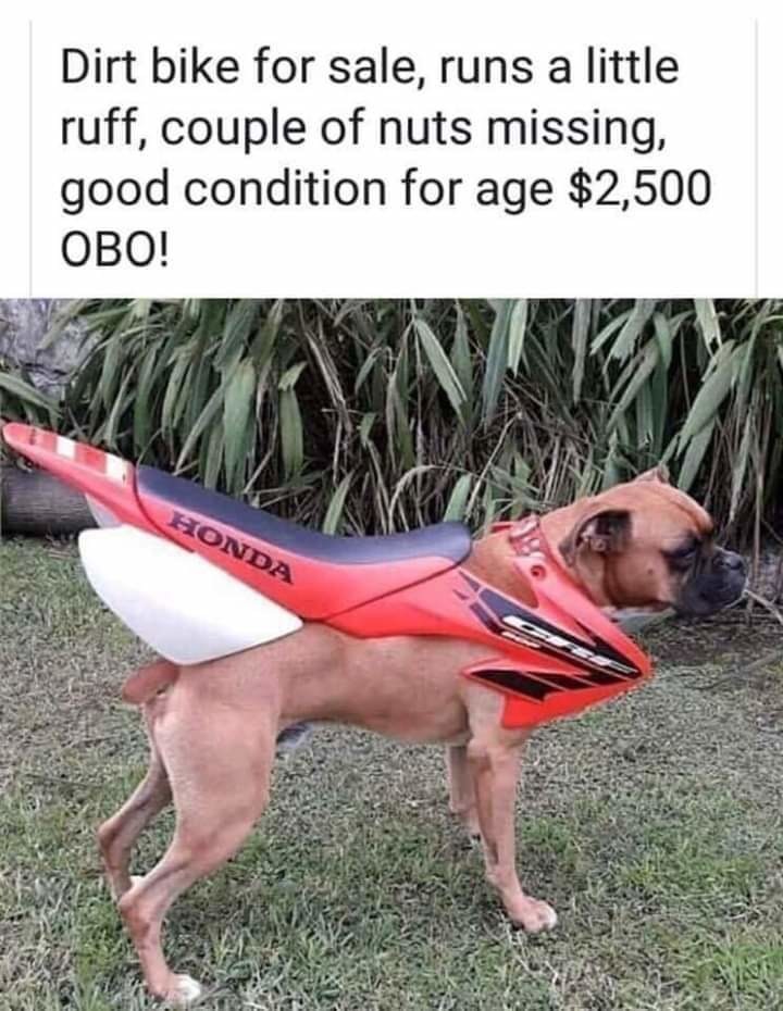 Don't try to low ball me - Meme subido por Scoots291 :) Memedroid