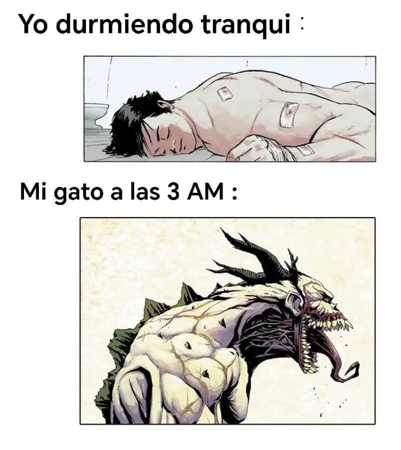 Top memes de Mascota en español :) Memedroid