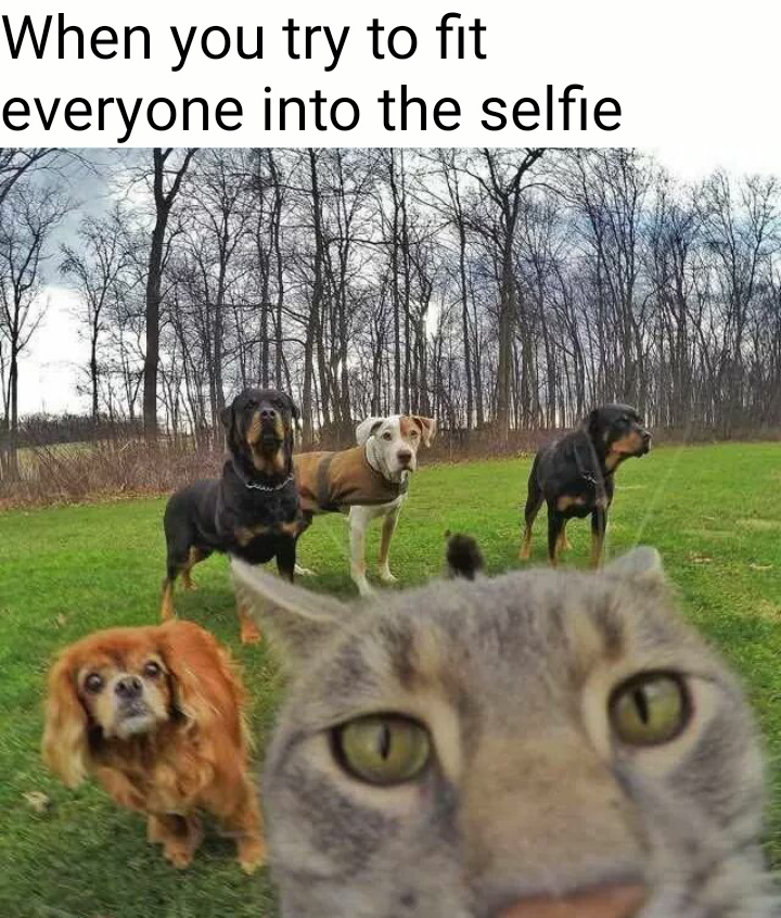 Mhm - Meme by kittykattkatito :) Memedroid