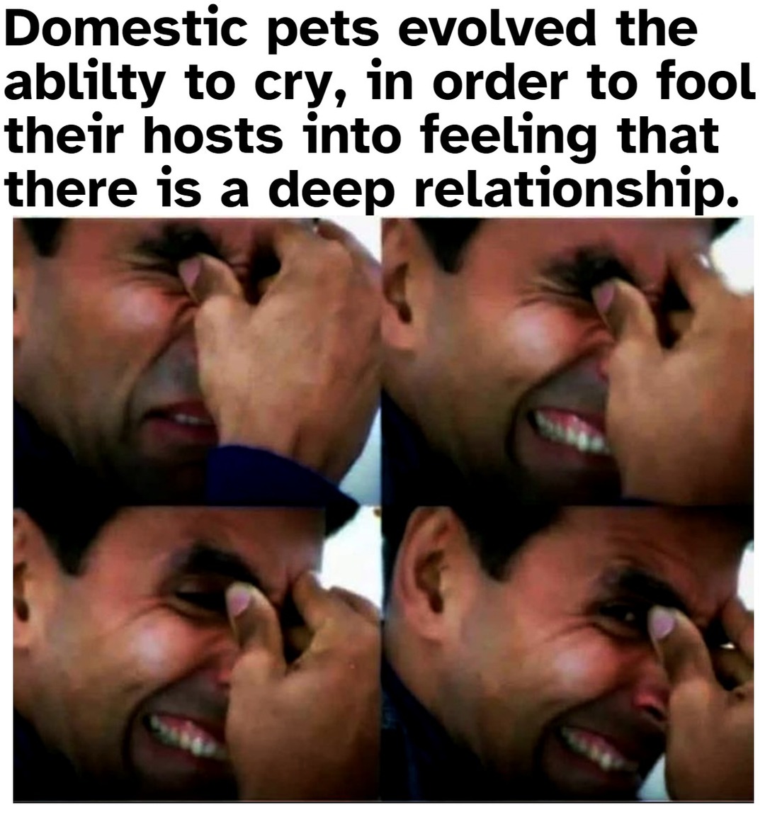 tears - Meme subido por fisteract :) Memedroid tears - Meme subido por fisteract :) Memedroid