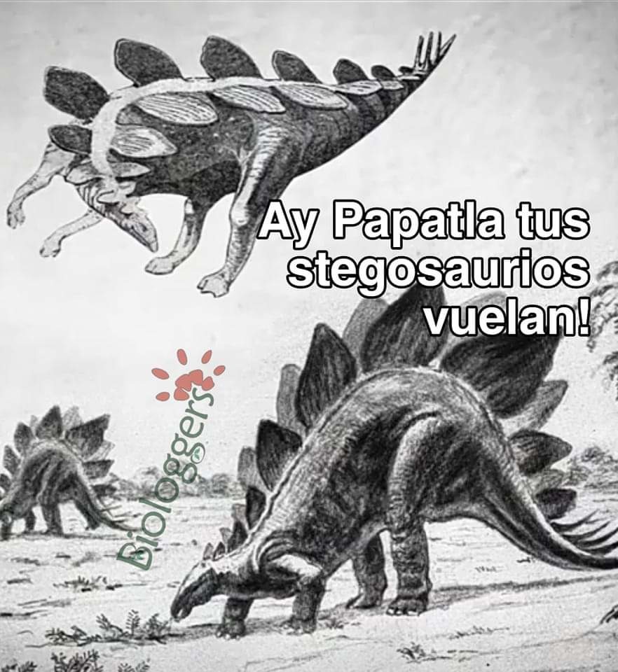 Weos - Meme by Magno-saxo :) Memedroid