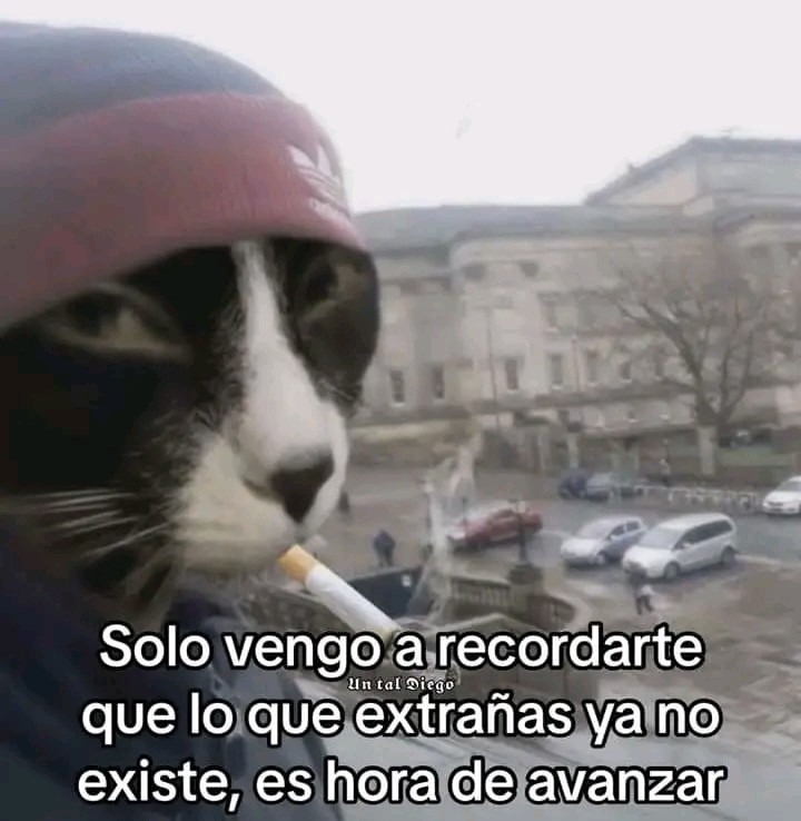 Los Últimos Memes Memedroid