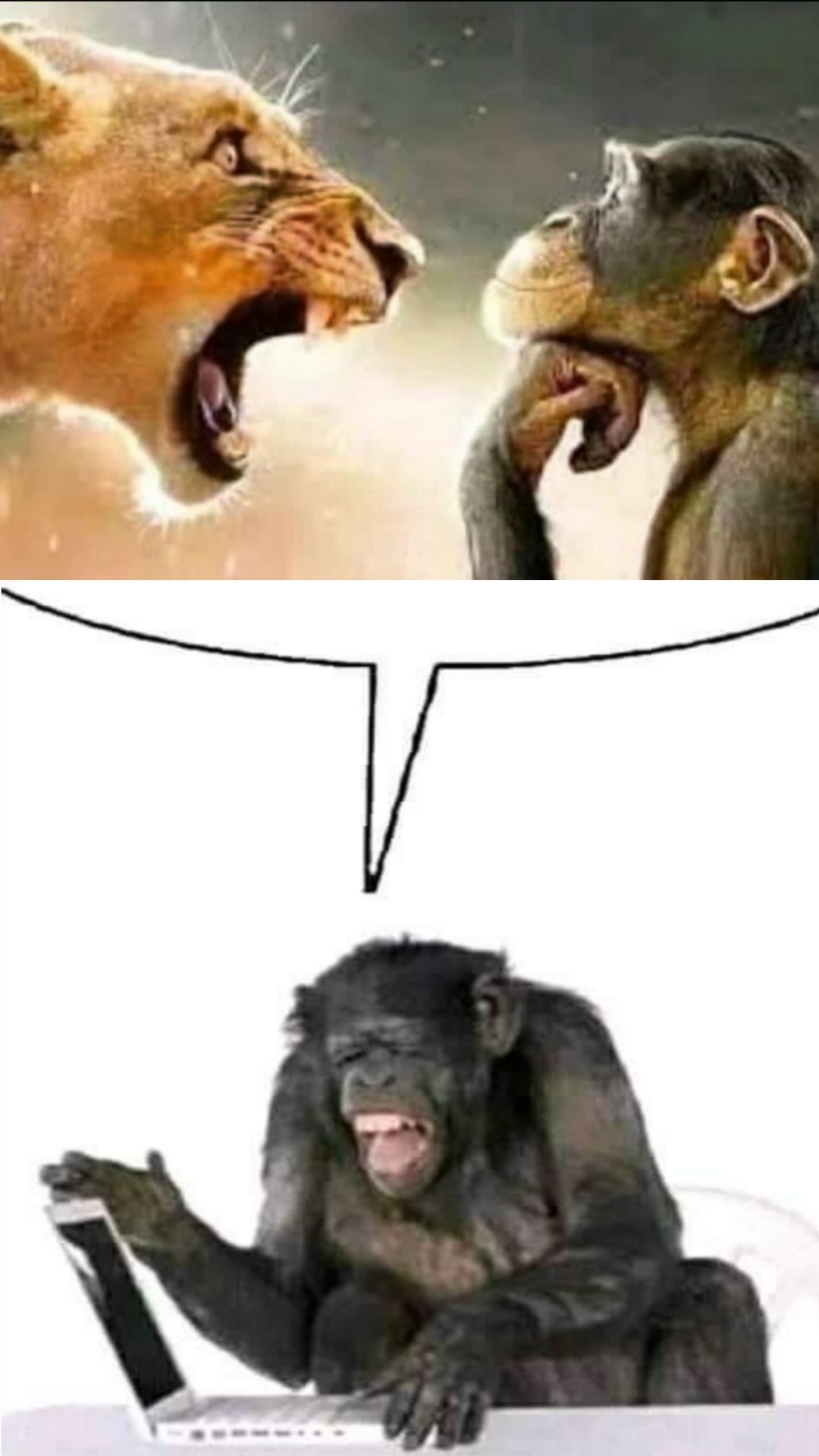 Top memes de Leon en español :) Memedroid