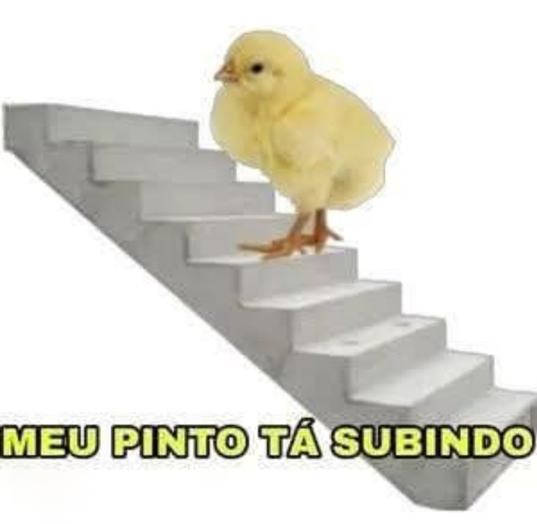 The Latest Memes :) Memedroid