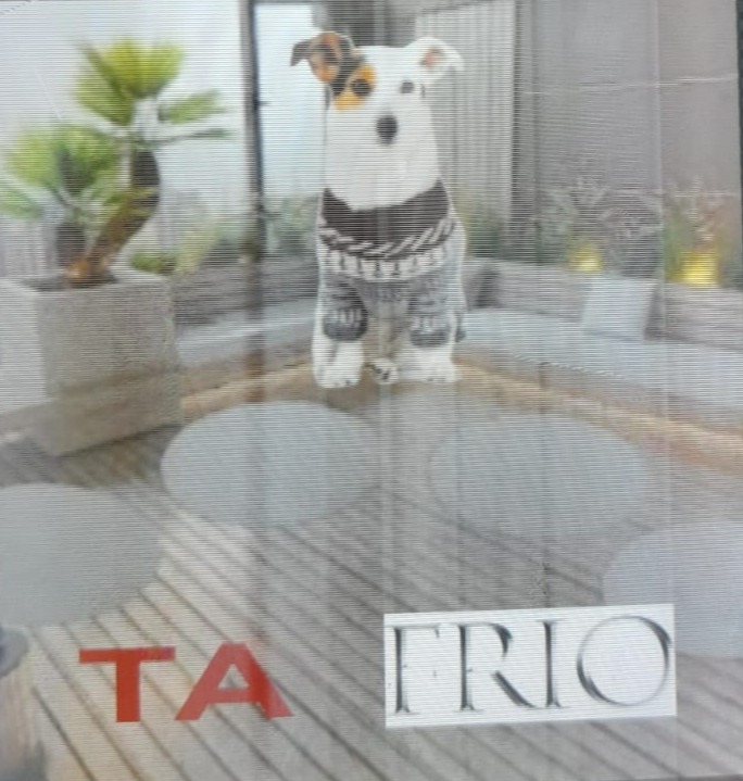 Los Últimos Memes :) Memedroid