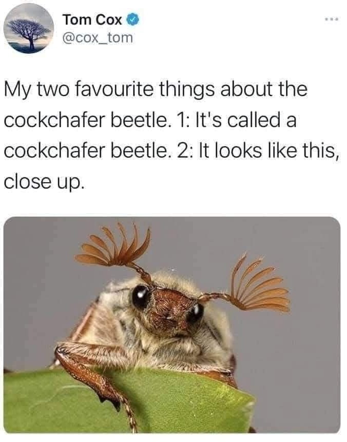 The Latest Memes :) Memedroid