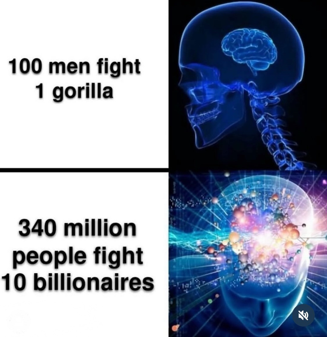 The best Gorilla Metaphor memes :) Memedroid