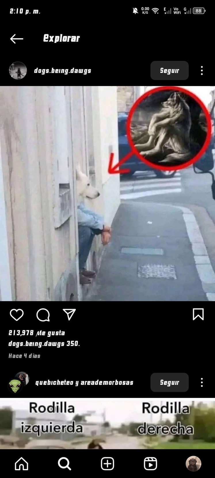 Los Últimos Memes :) Memedroid