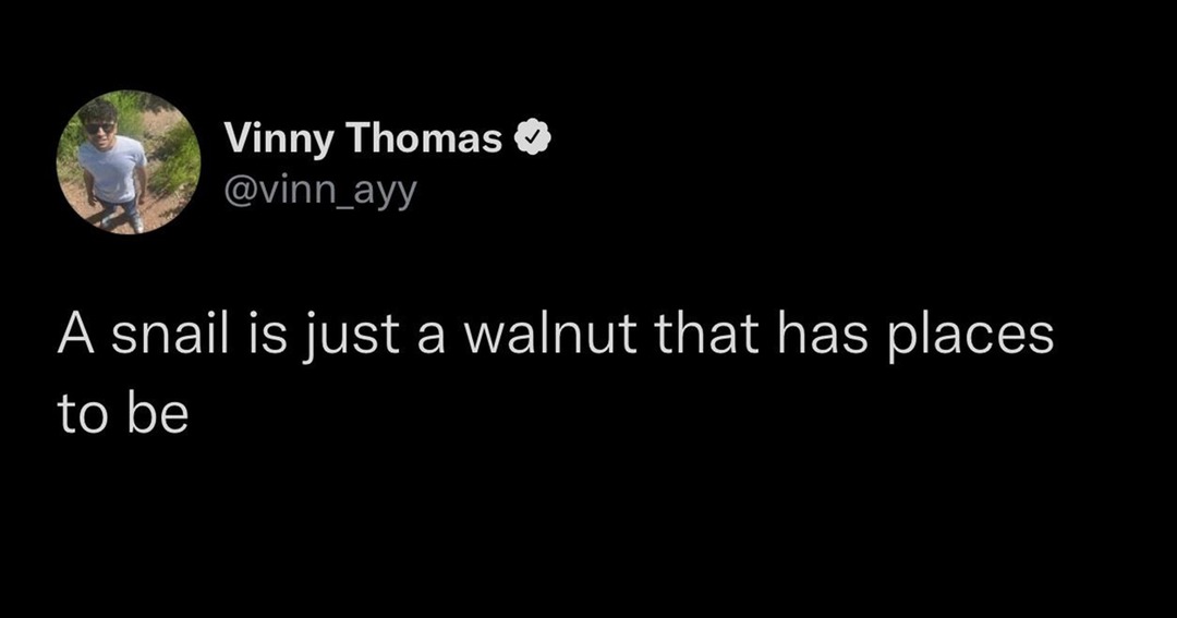 The best Snail memes :) Memedroid