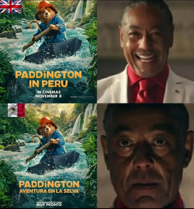 Memes Paddington