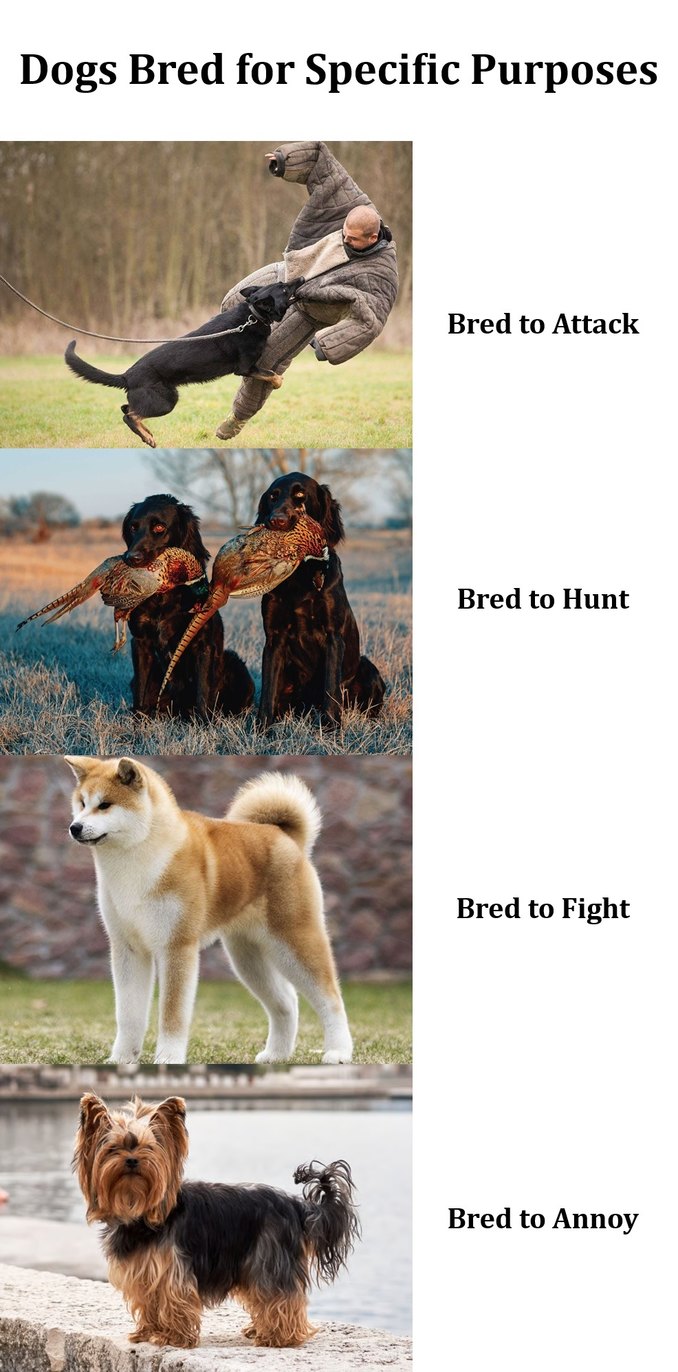 The best memes of the day :) Memedroid