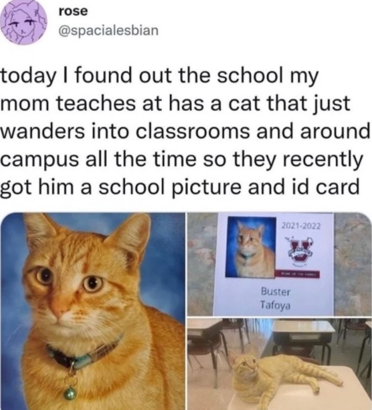 Funny school memes :) Memedroid