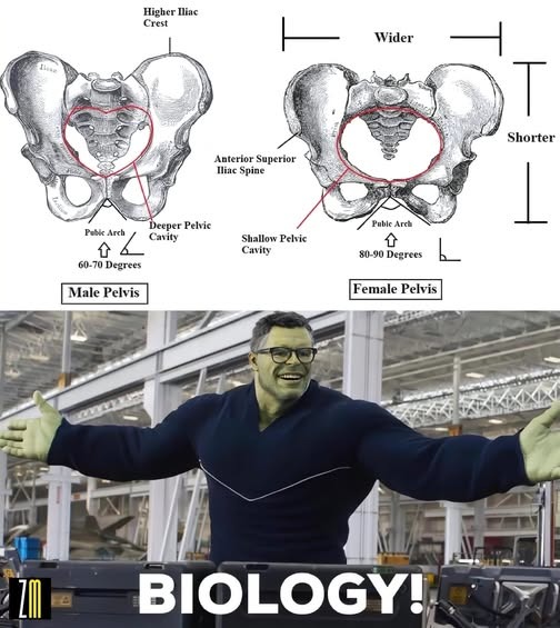 The best Biology memes :) Memedroid