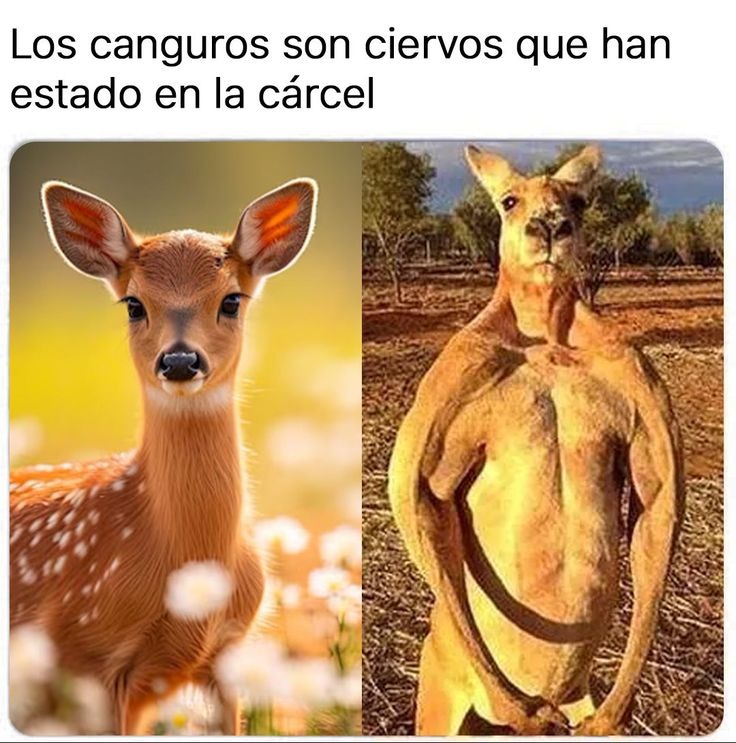 Top memes de Ciervos en español :) Memedroid
