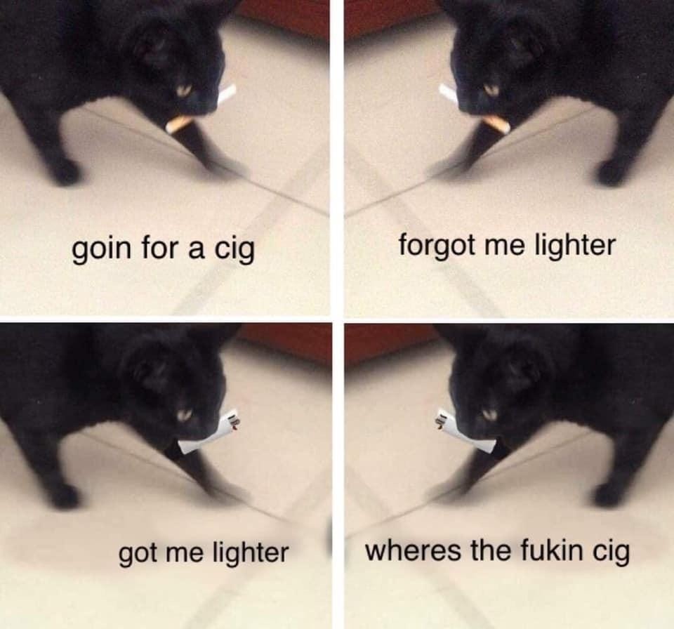 The Latest Memes :) Memedroid