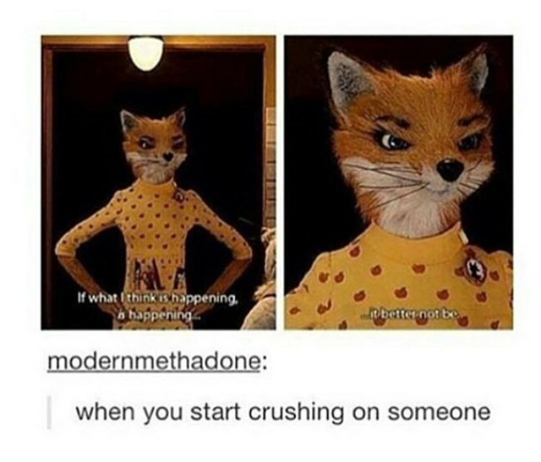 What the cuss... - Meme by Dunkmasteroffical :) Memedroid